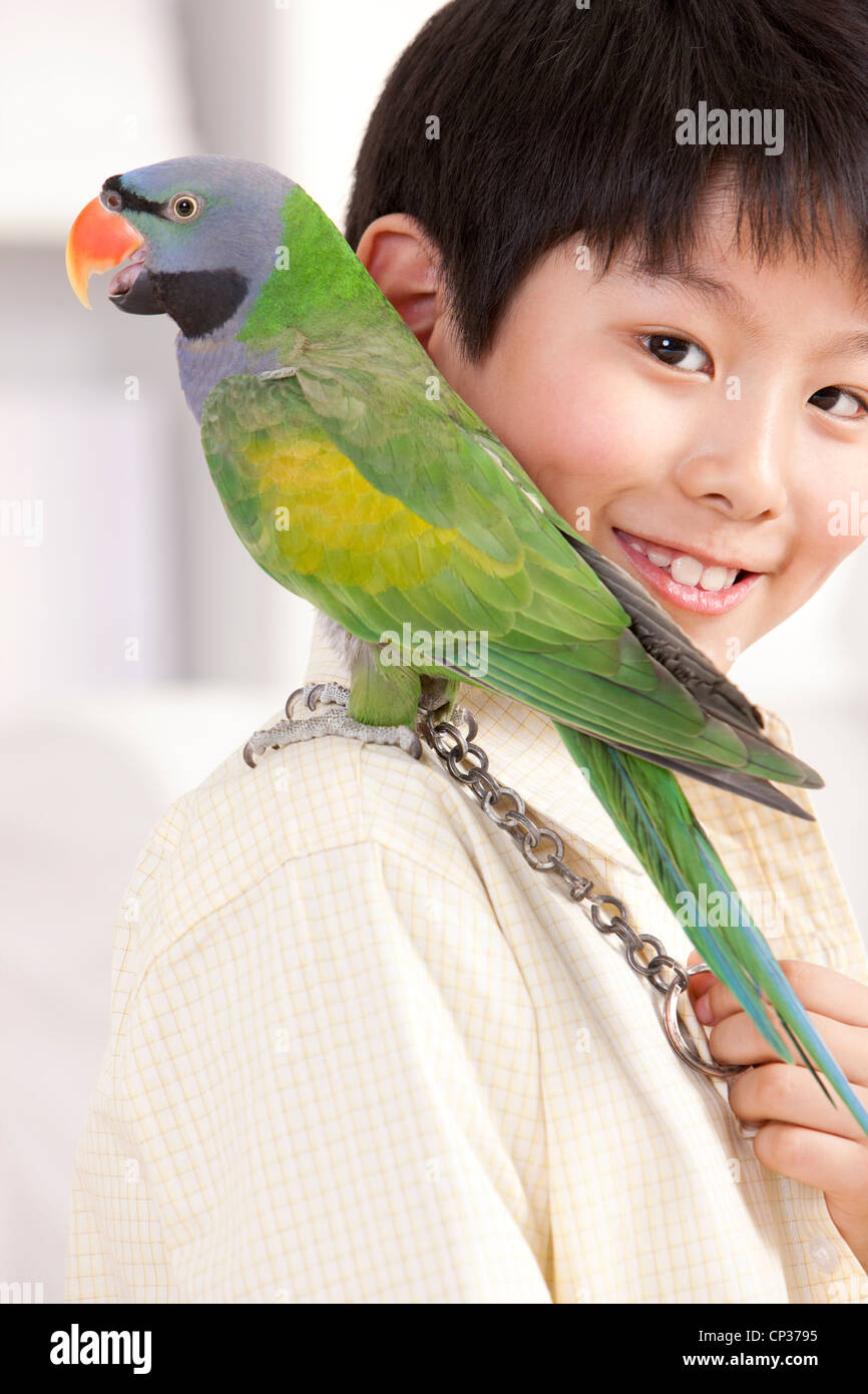 Little boy playing with a pet parrot Stock Photo - Alamy