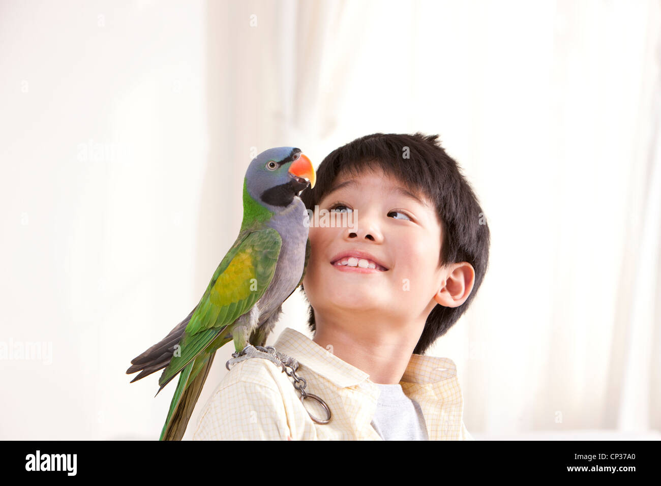 Little boy playing with a pet parrot Stock Photo - Alamy