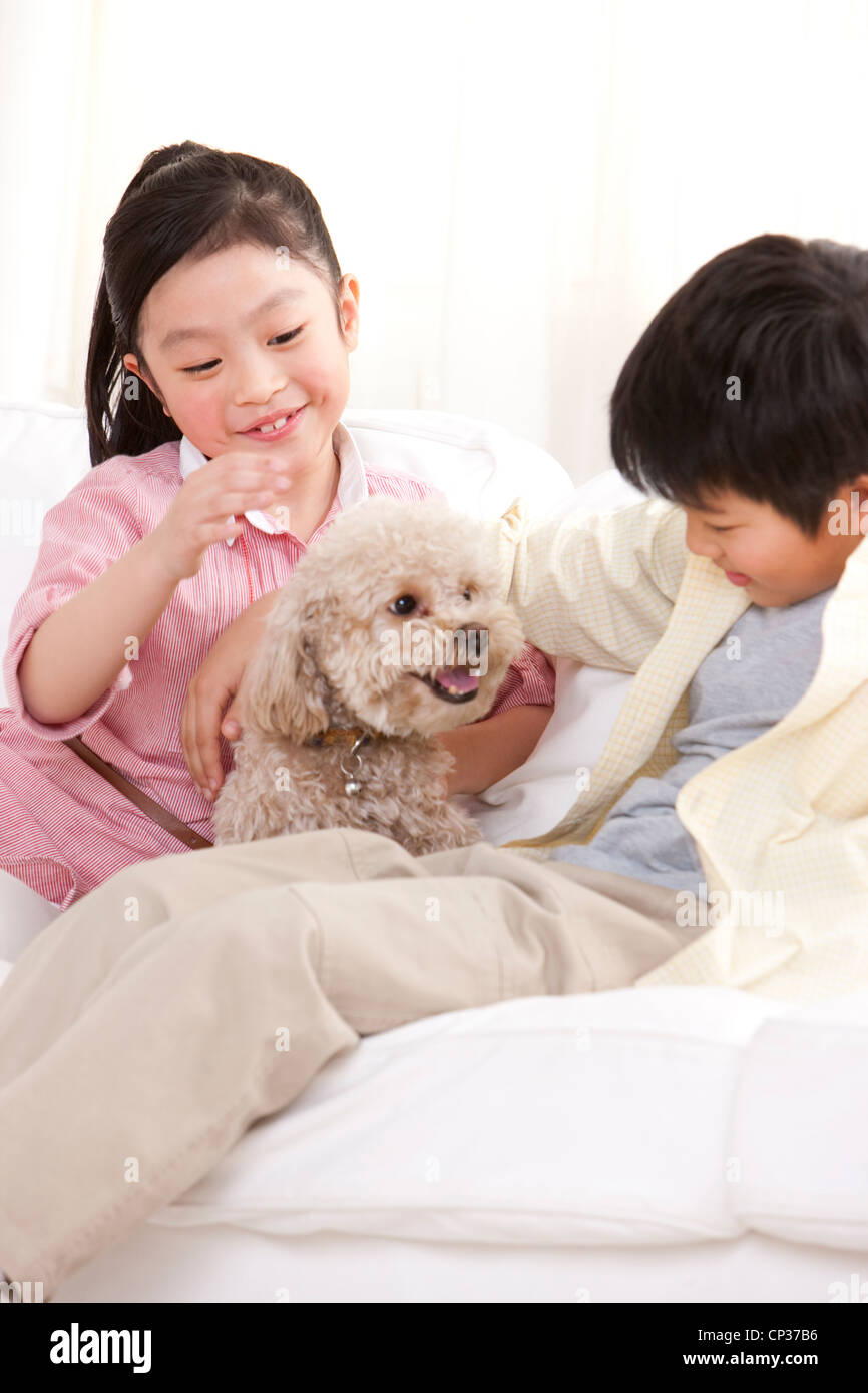 Children playing with a pet toy poodle Stock Photo - Alamy