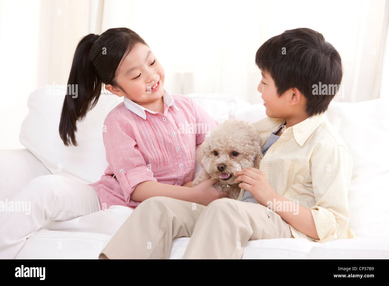 Children playing with a pet toy poodle Stock Photo - Alamy