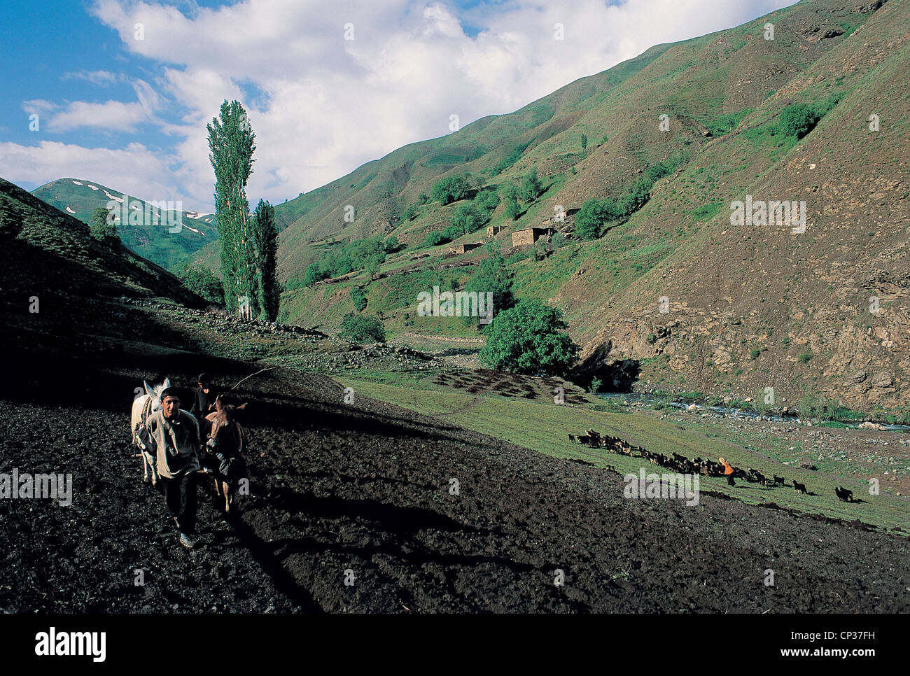 Primitive agriculture in Arzivik village of Sason Batman Turkey Stock ...