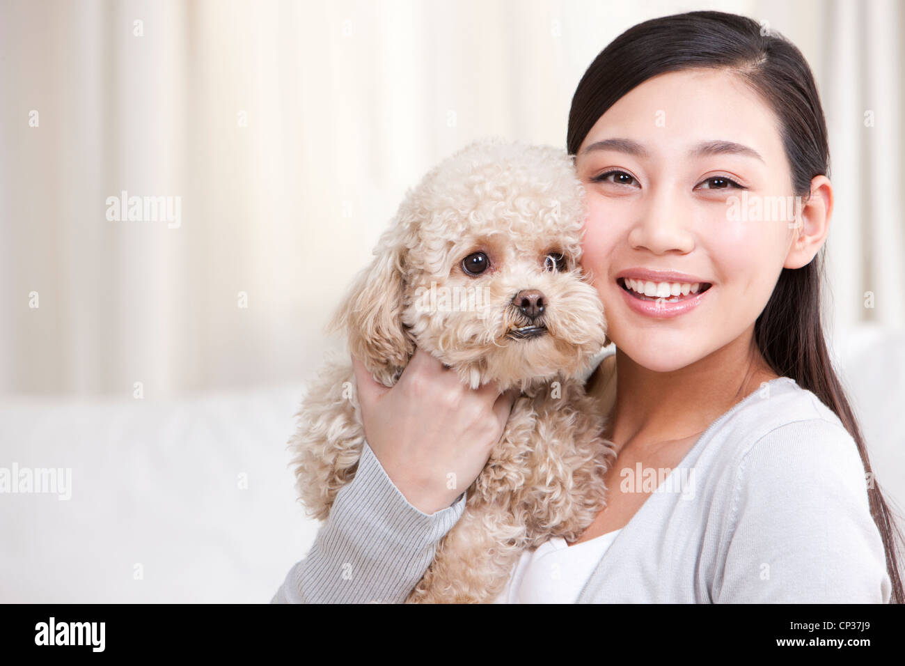 When Do Toy Poodles Enter Adolescence