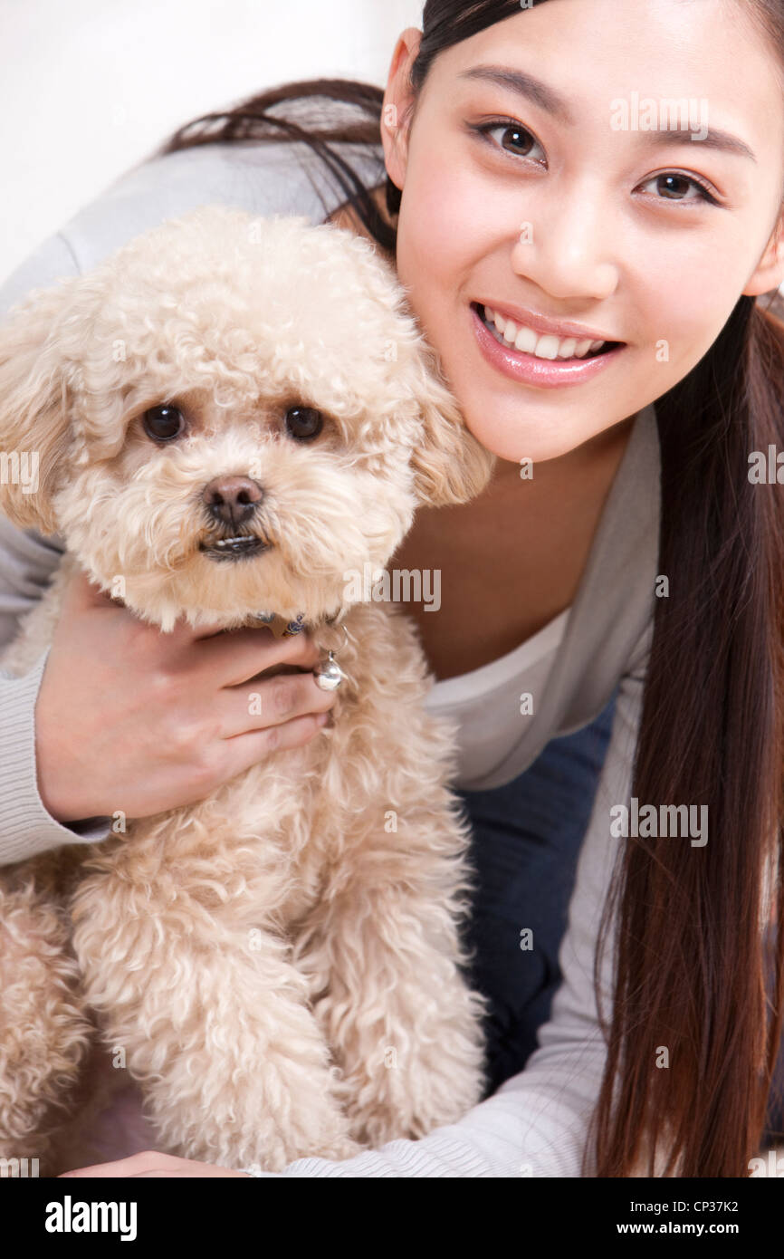 China beijing poodle hi-res stock photography and images - Alamy
