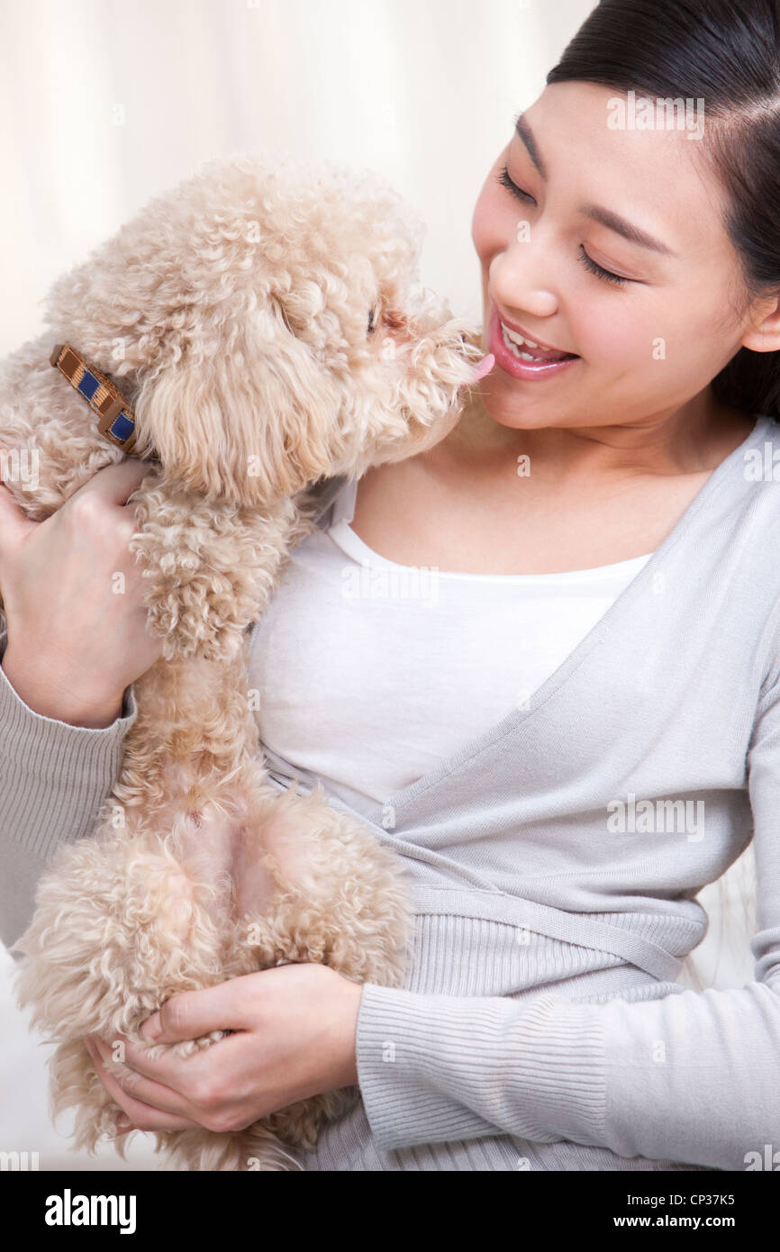 Young woman playing with a pet toy poodle Stock Photo - Alamy