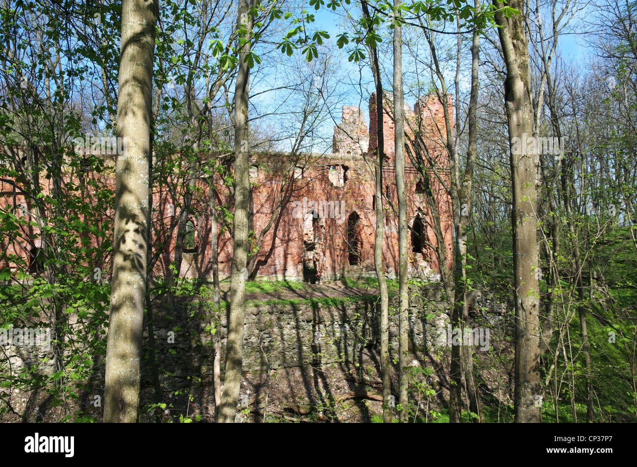 Balga - ruins of medieval castle of the Teutonic knights. Kaliningrad ...