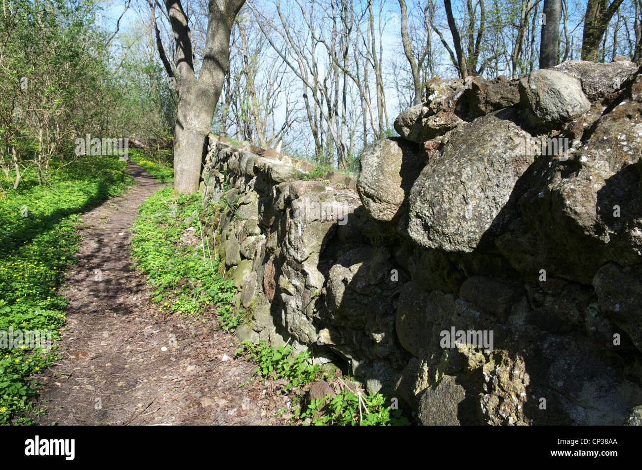 Balga - ruins of medieval castle of the Teutonic knights. Kaliningrad ...
