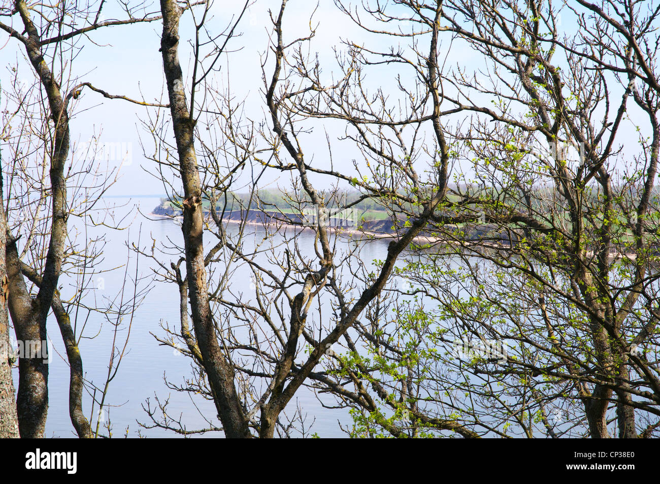 Balga - ruins of medieval castle of the Teutonic knights. Kaliningrad ...