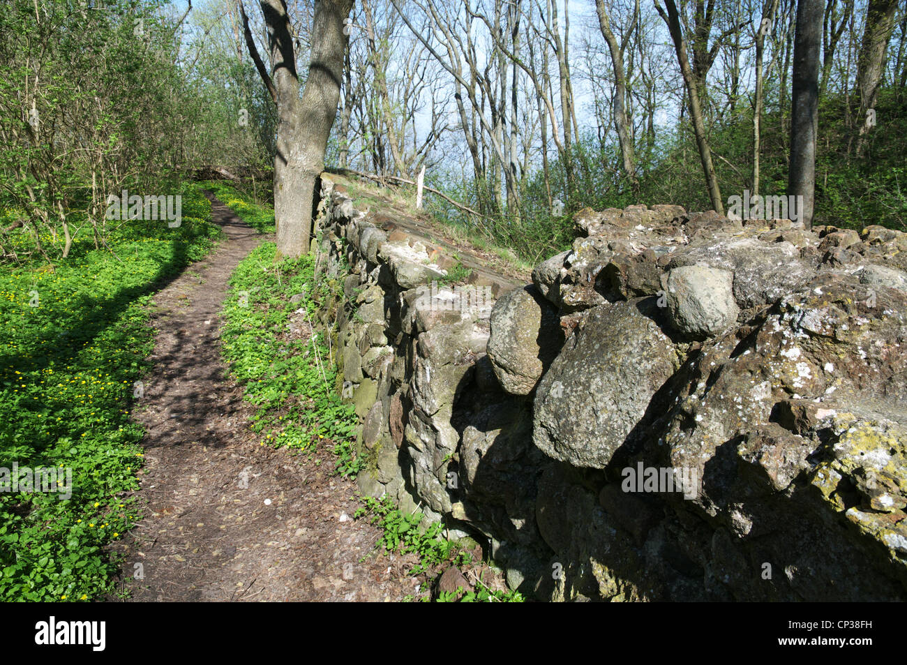 Balga - ruins of medieval castle of the Teutonic knights. Kaliningrad ...