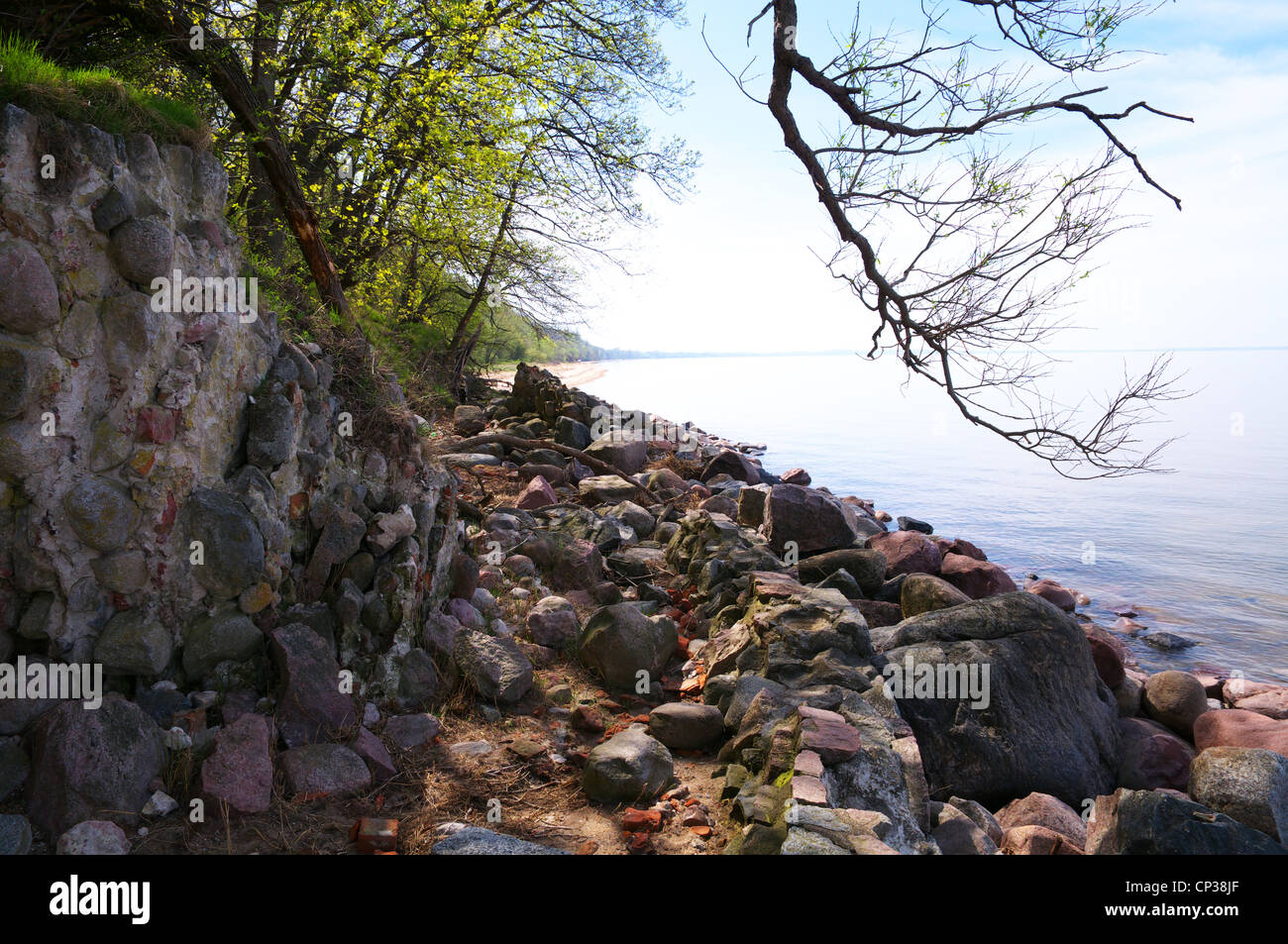 Balga - ruins of medieval castle of the Teutonic knights. Kaliningrad ...