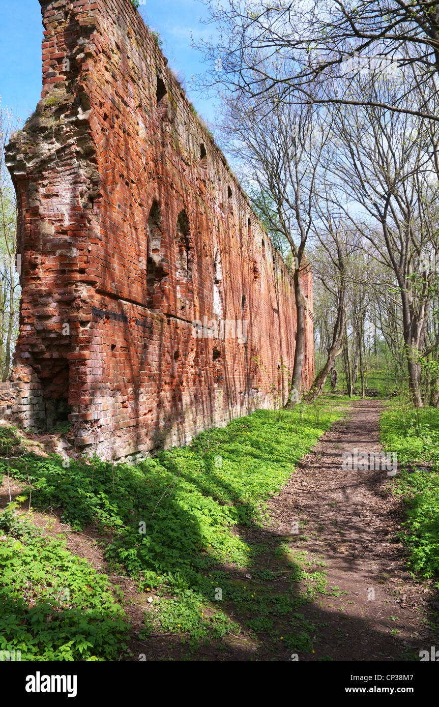 Balga - ruins of medieval castle of the Teutonic knights. Kaliningrad ...