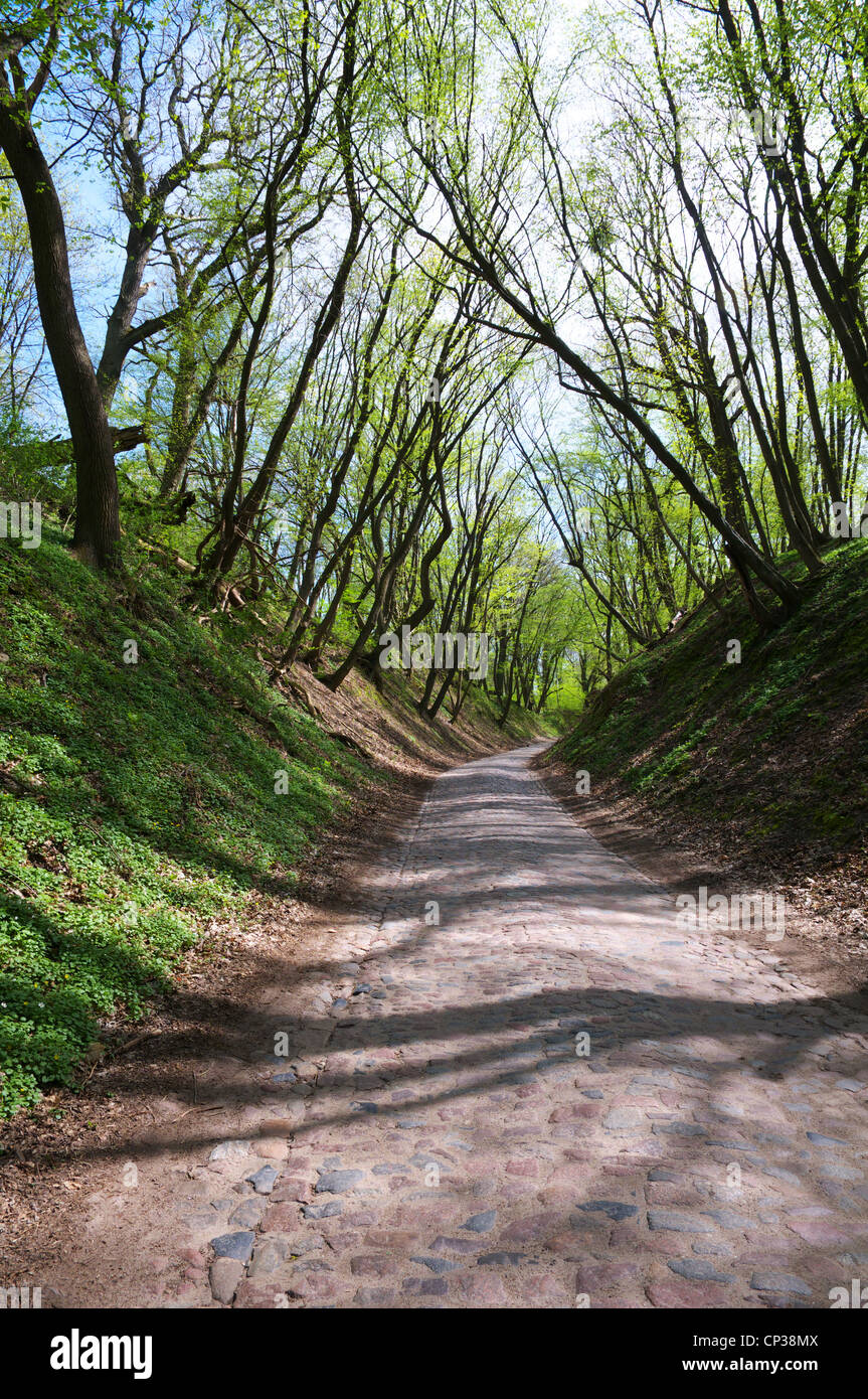 Ancient stone road Stock Photo - Alamy