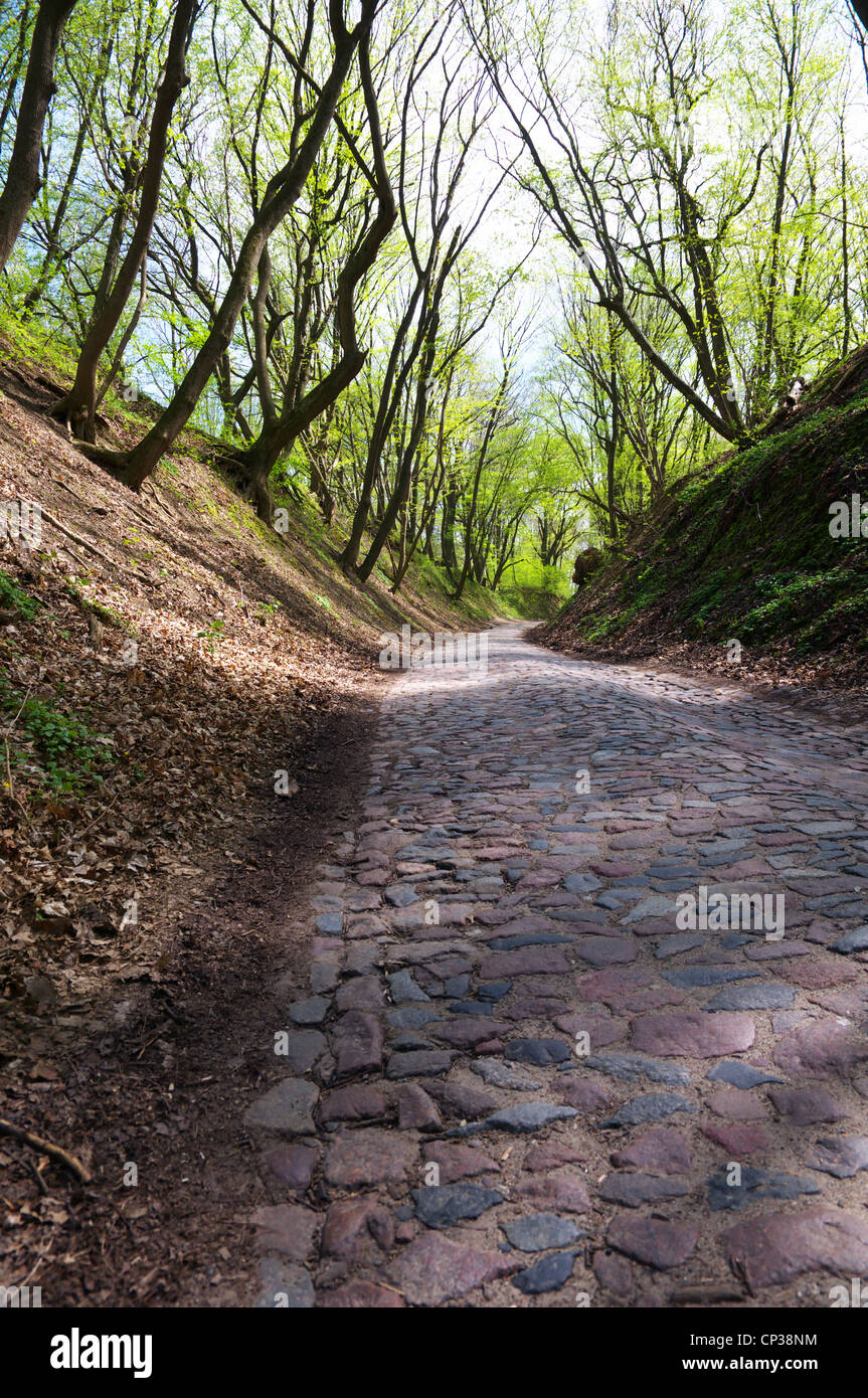 Ancient stone road Stock Photo - Alamy