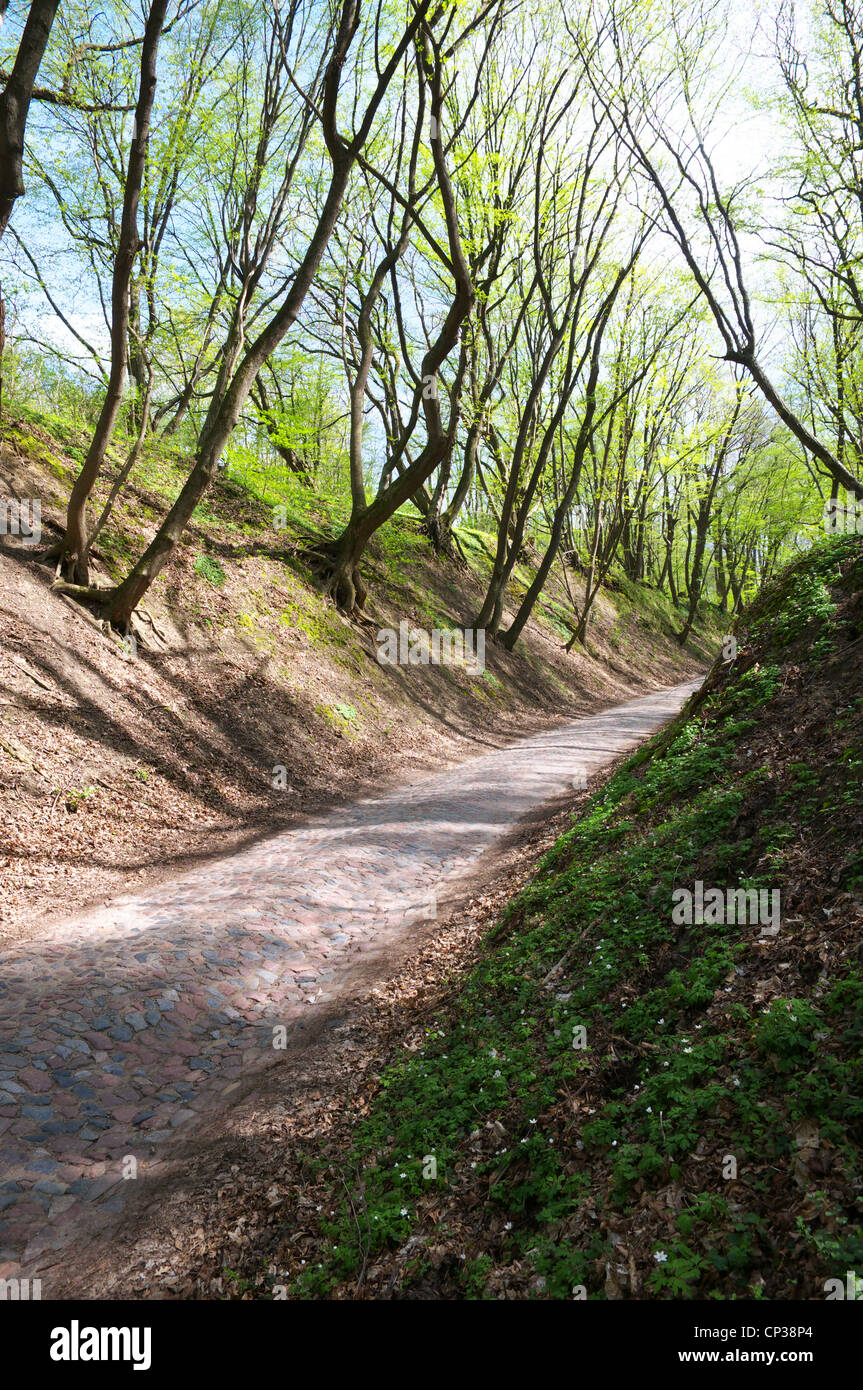 Ancient stone road Stock Photo - Alamy