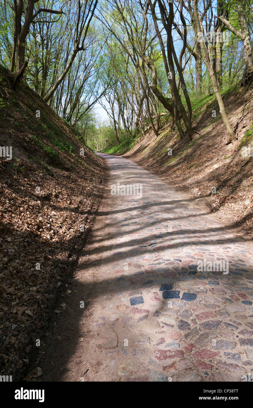 Ancient stone road Stock Photo - Alamy