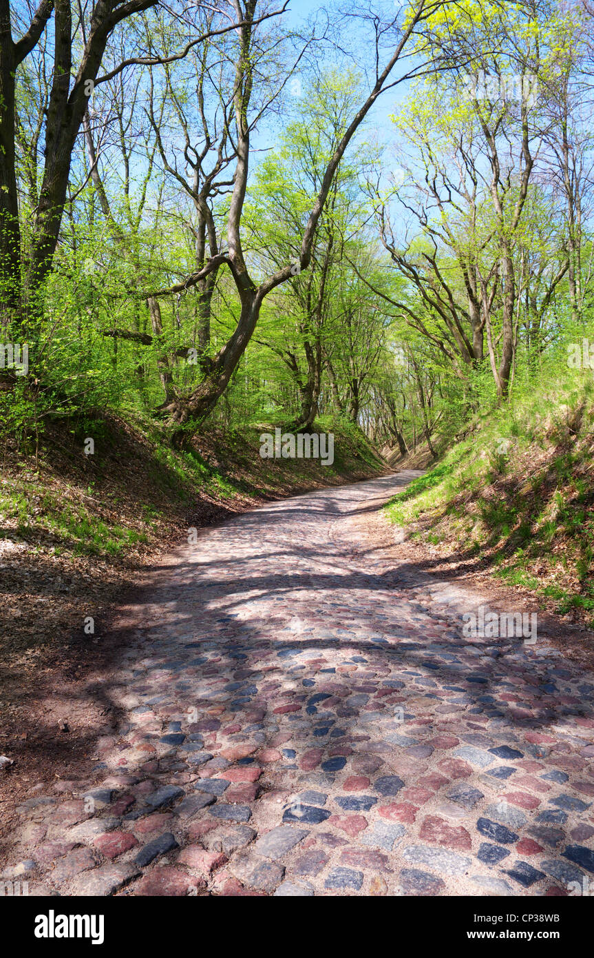 Ancient stone road Stock Photo - Alamy