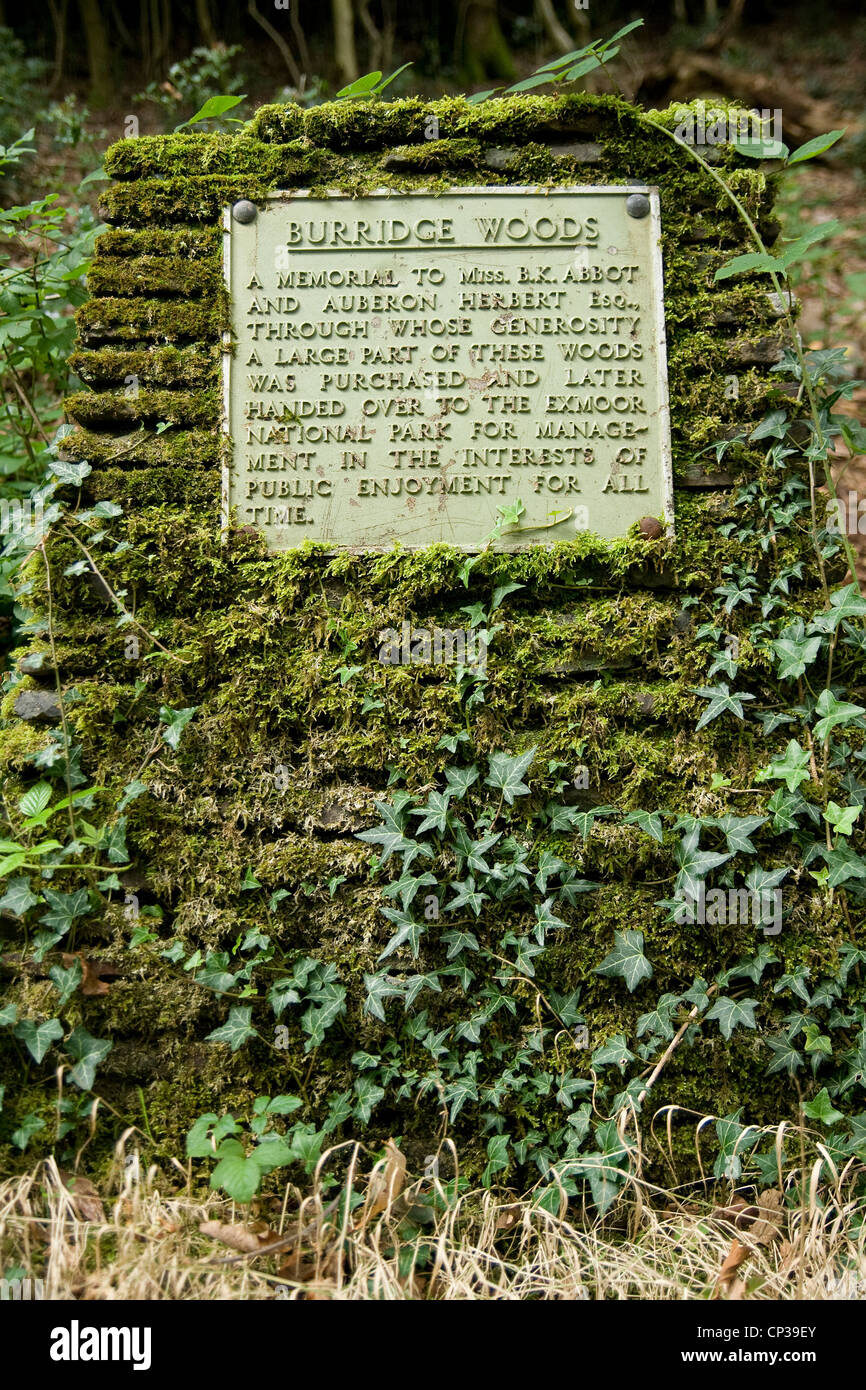 Moss covered Burridge Woods Sign, Exmoor Stock Photo - Alamy