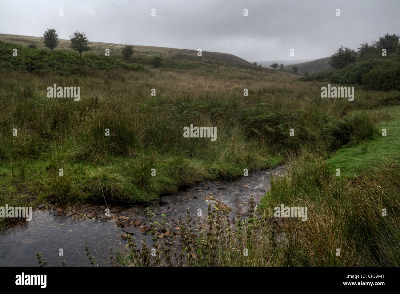 Stream running through Dunkery, Exmoor, Devon Stock Photo - Alamy