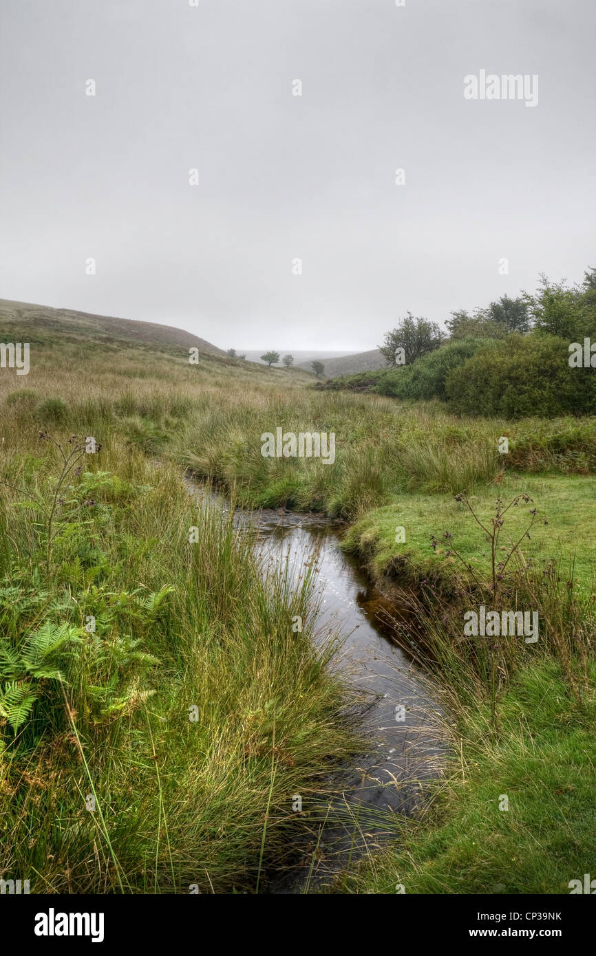 Stream running through Dunkery, Exmoor, Devon Stock Photo - Alamy