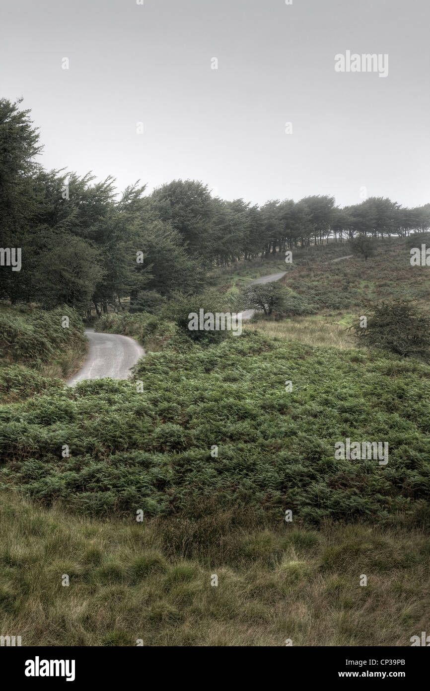 Road running through Dunkery, Exmoor, Devon Stock Photo - Alamy
