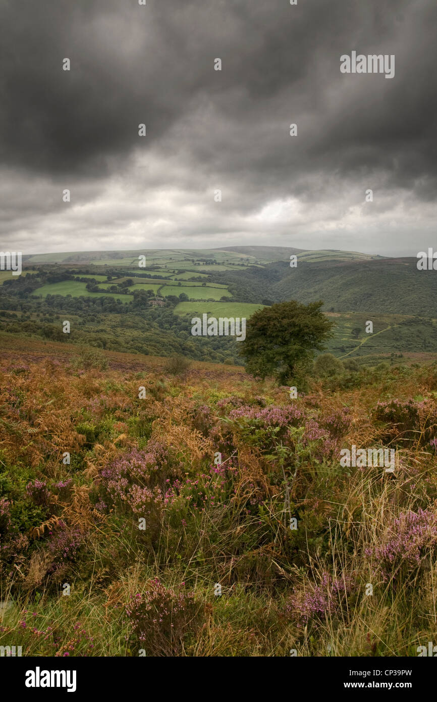 Easter Hill, Exmoor Stock Photo - Alamy