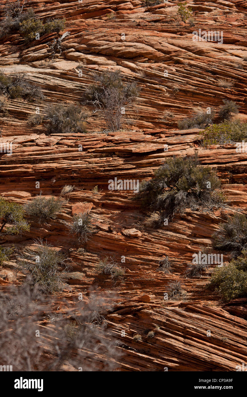 The red rock and colorful splendour of the Zion National Park near St ...