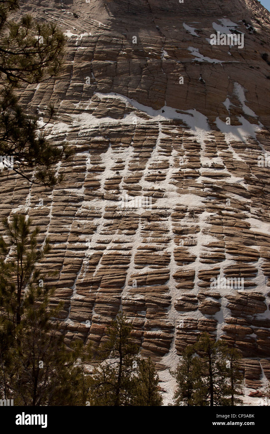 Chequered mountain and colorful splendour of the Zion National Park ...