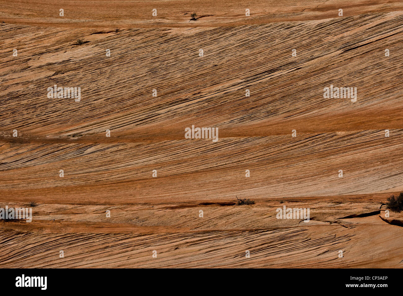 The red rock and colorful splendour of the Zion National Park near St ...