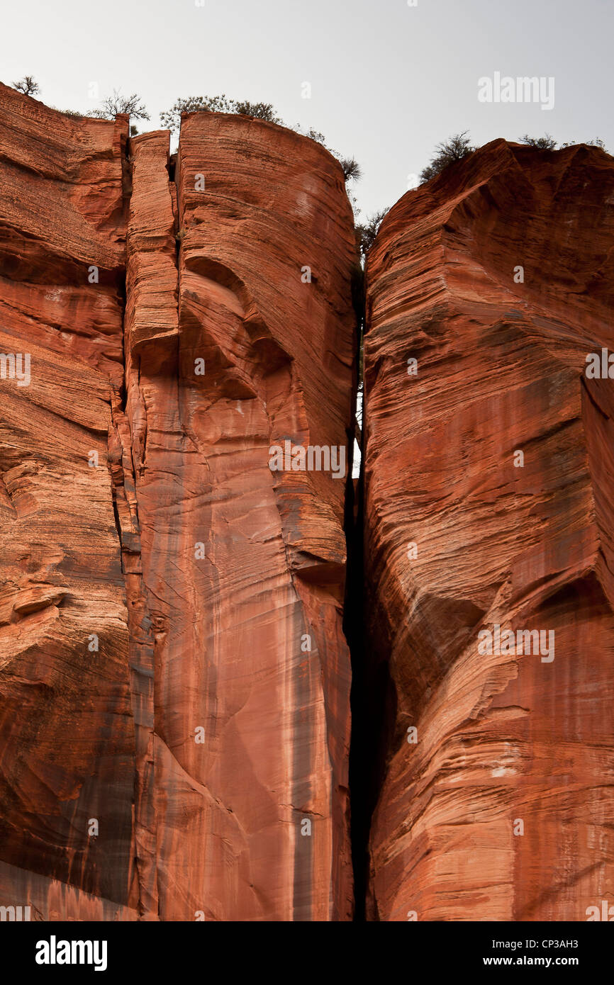 The red rock and colorful splendour of the Zion National Park near St ...