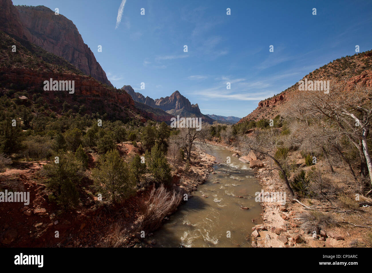 The red rock and colorful splendour of the Zion National Park near St ...