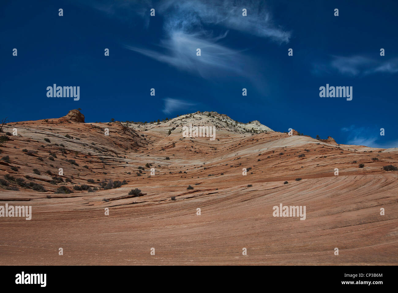 The red rock and colorful splendour of the Zion National Park near St ...