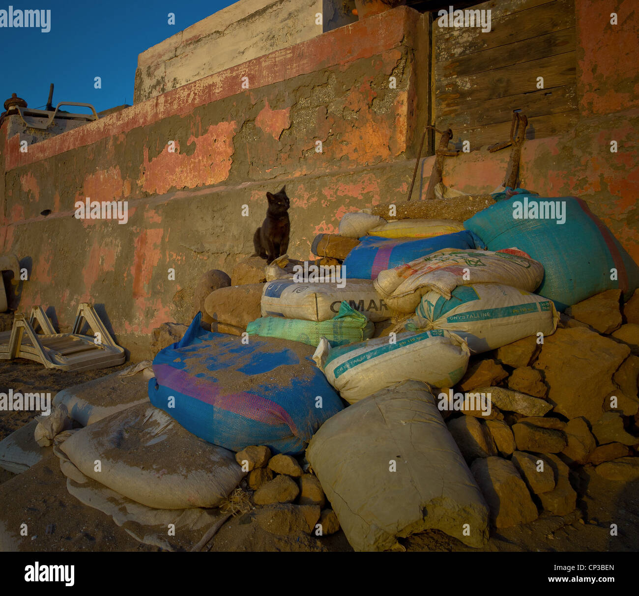 The village of Tifnit., The kitten in the shape of Shadow Stock Photo ...