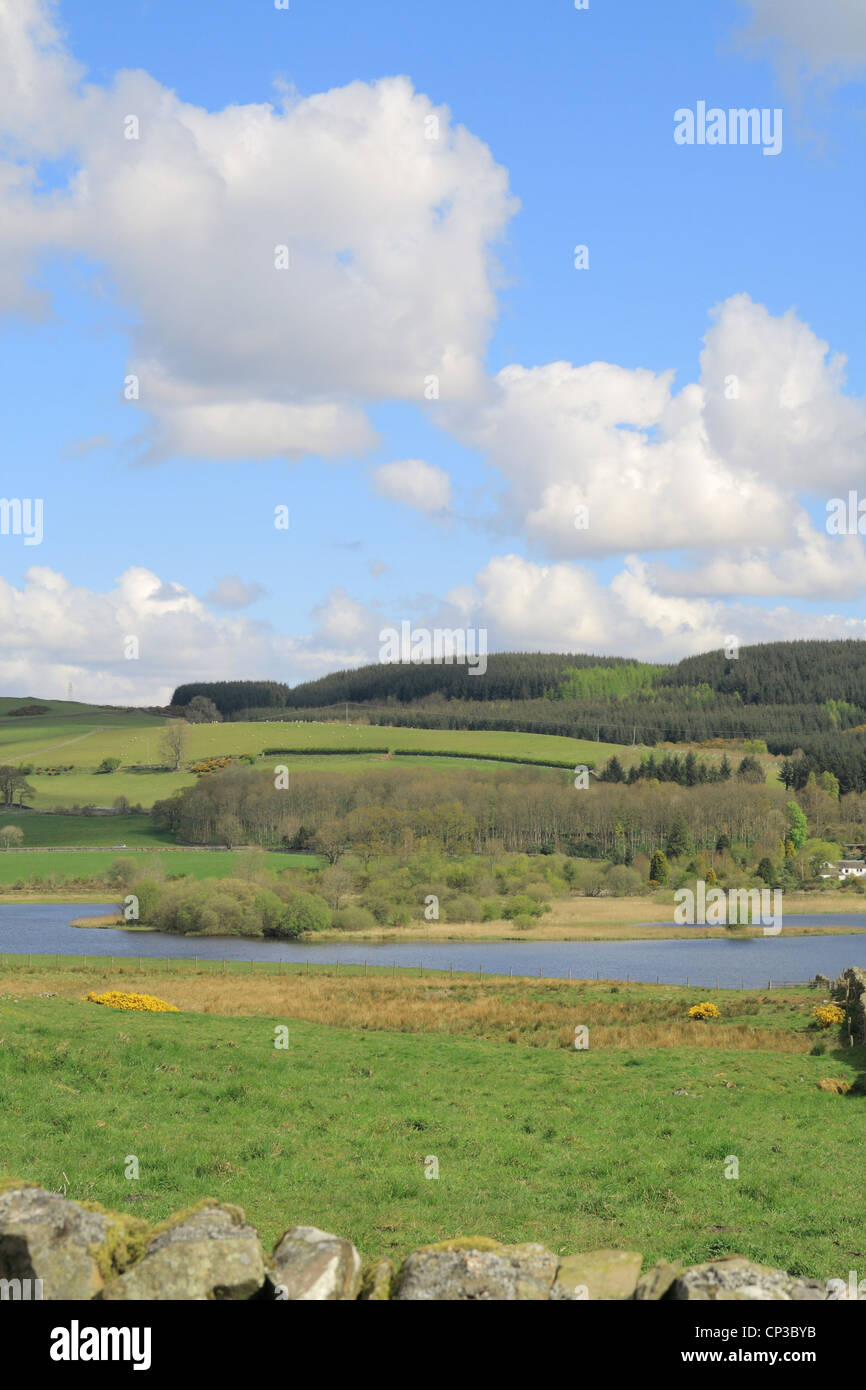 View of Loch Ken from Ken-Dee Marshes RSPB Reserve, Dumfries & Galloway ...