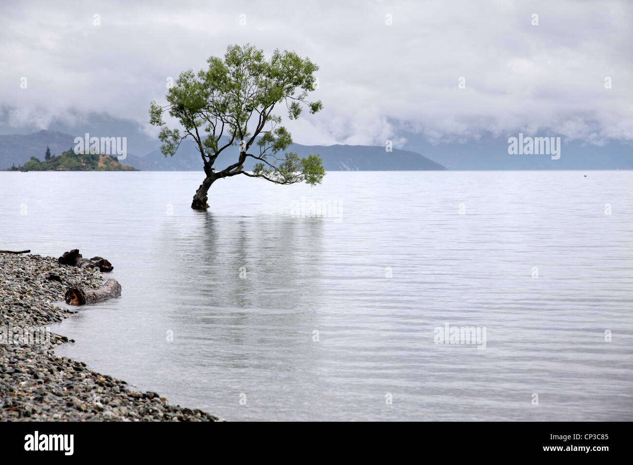 Drowned tree hi-res stock photography and images - Alamy
