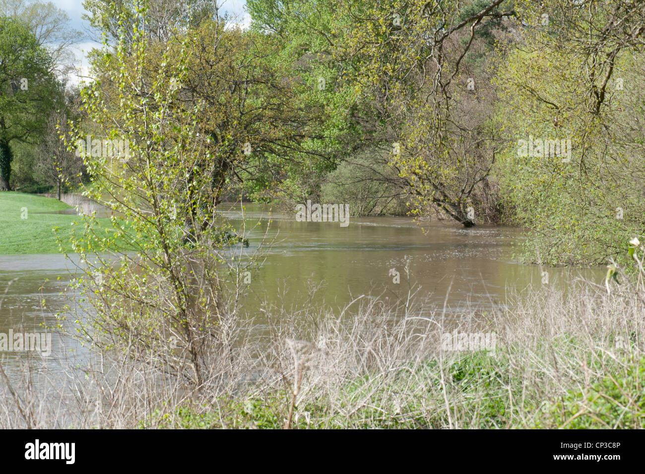 Flooding of the River Wey, April 2012, Wisley, Surrey, UK Stock Photo ...