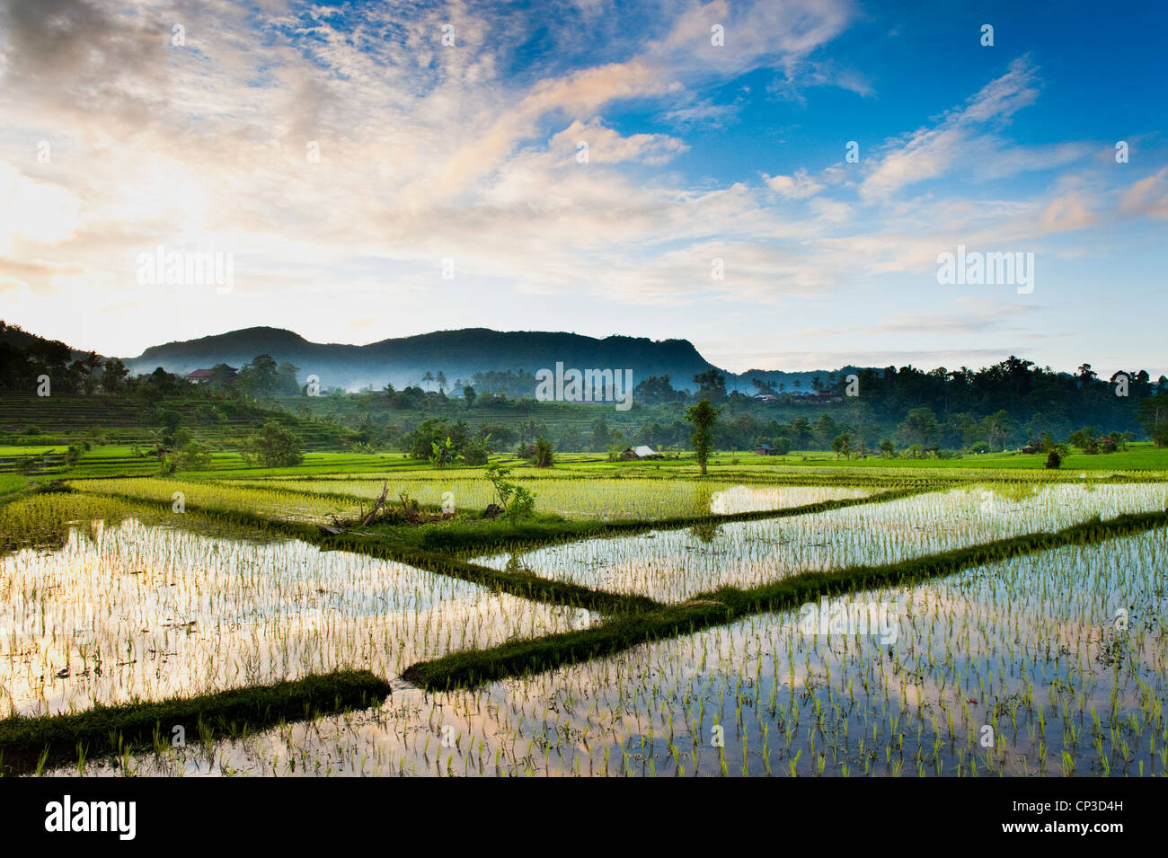 The beautiful rice fields of the Sidemen Valley in eastern Bali ...