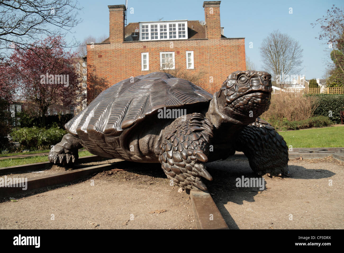 Tortoise with triangle and time hi-res stock photography and images - Alamy