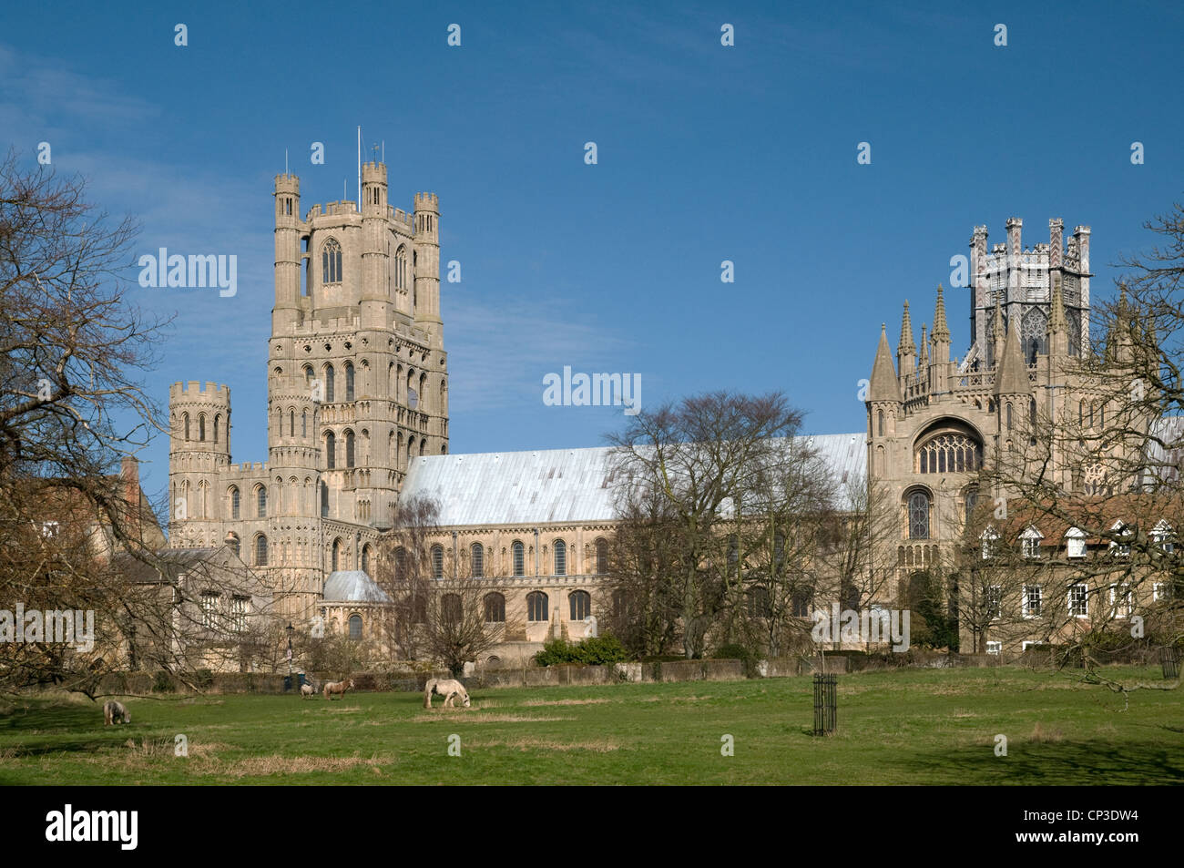 Ely Cathedral seen from the south with green fields of Ely Park and ...