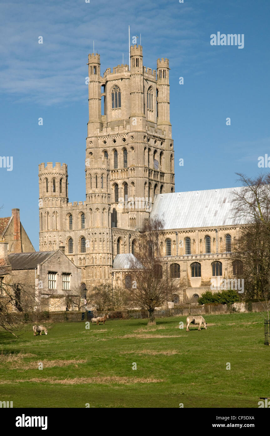 West tower of Ely Cathedral seen from green fields of Ely Park to the ...