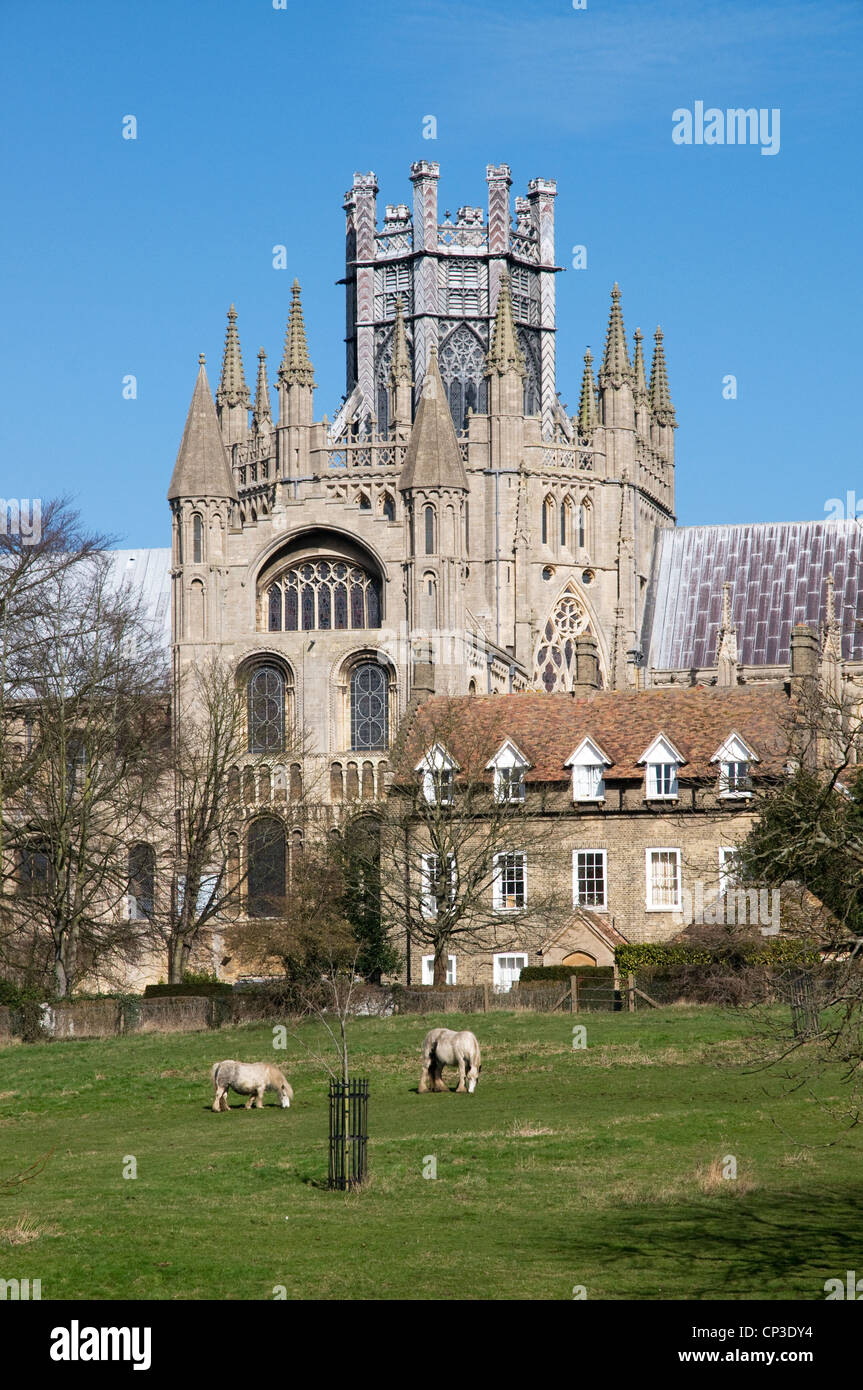 Ely Cathedral seen from the south with green fields of Ely Park and ...