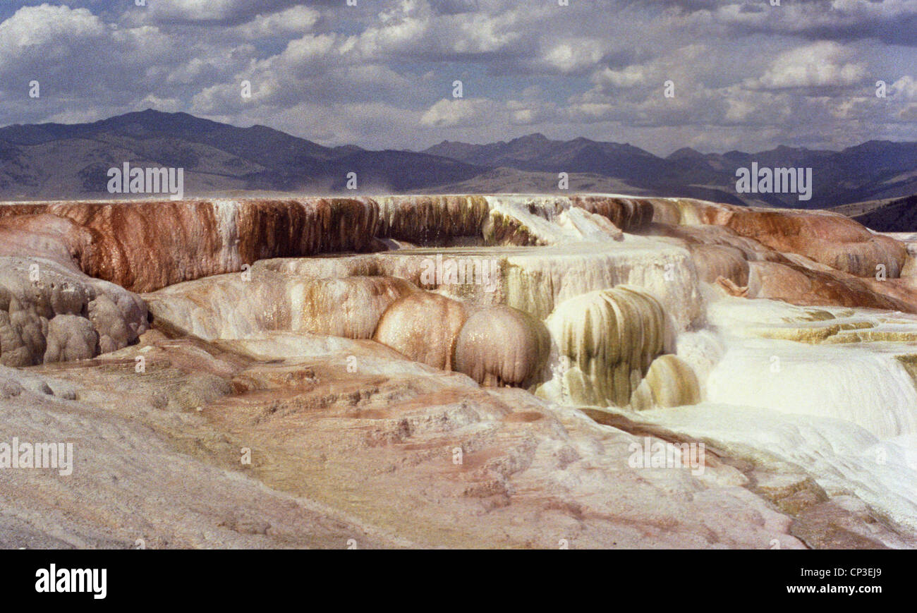 The Minerva Terrace and Hot Spring at Yellowstone National Park as it ...