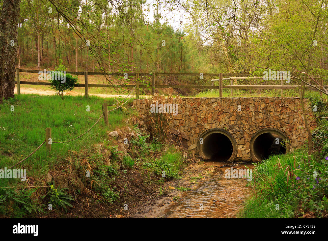 Small riverside under trees hi-res stock photography and images - Alamy