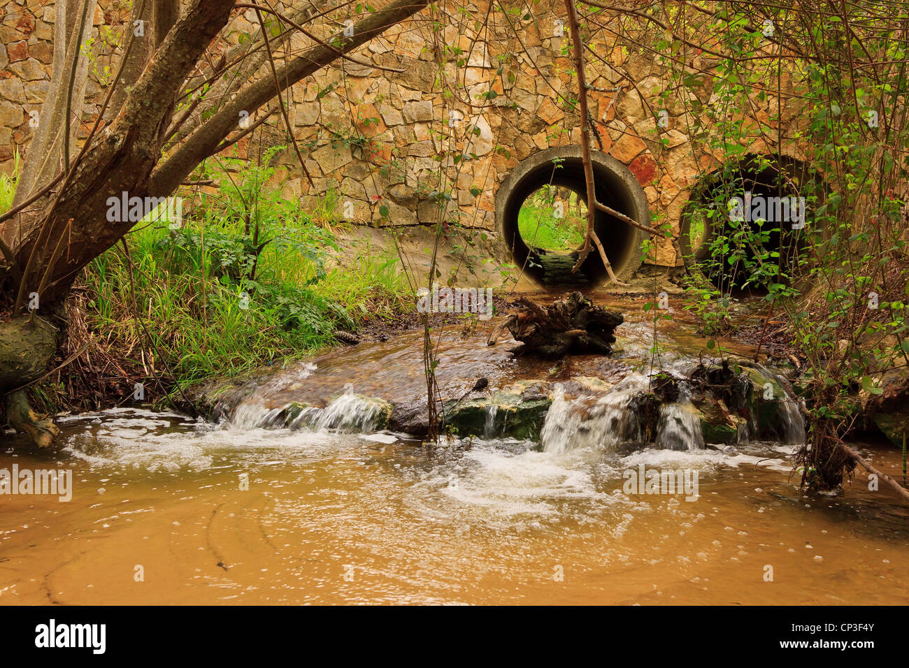 Small riverside under trees hi-res stock photography and images - Alamy