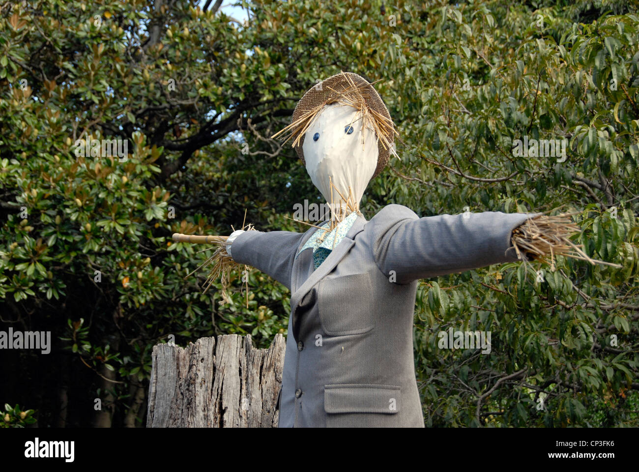 Scarecrow in Botanical gardens Sydney Australia Stock Photo - Alamy