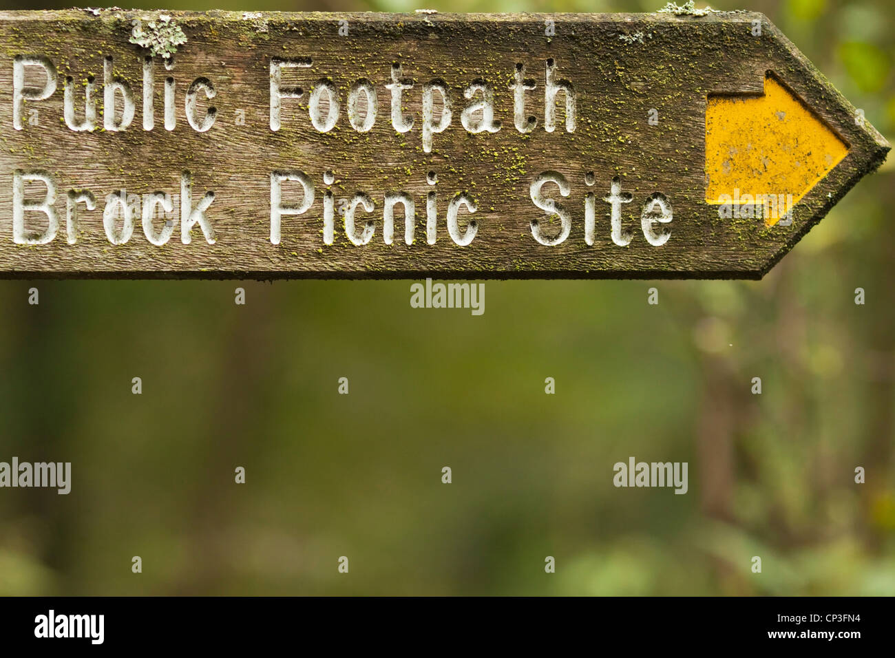 Sign in English Woodland Stock Photo - Alamy
