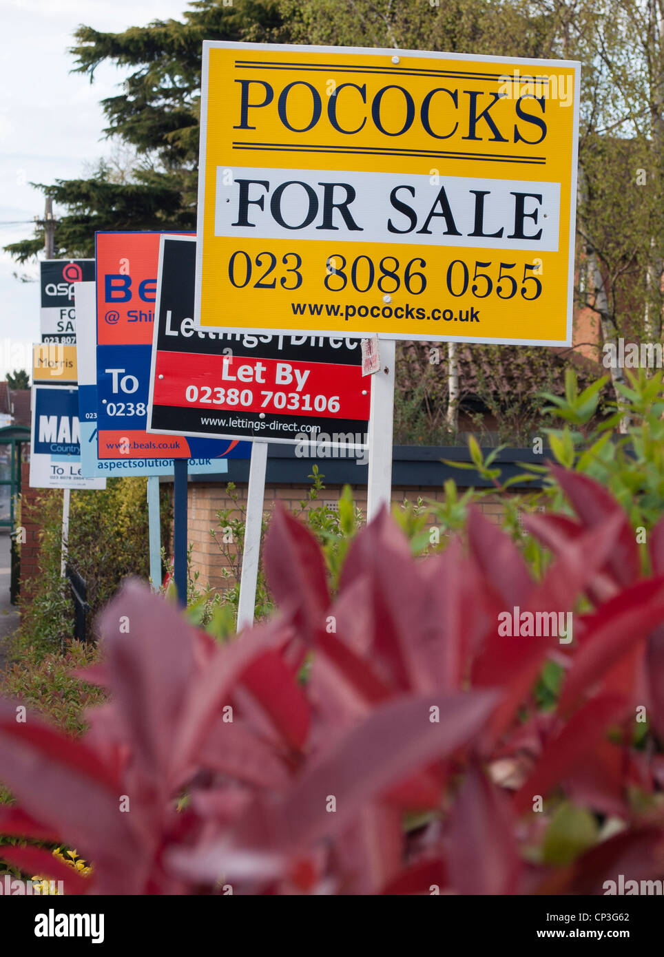 For Sale To Let property signs Stock Photo - Alamy