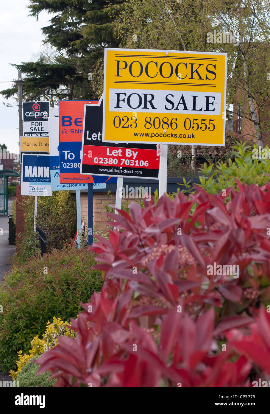 For Sale To Let property signs Stock Photo - Alamy