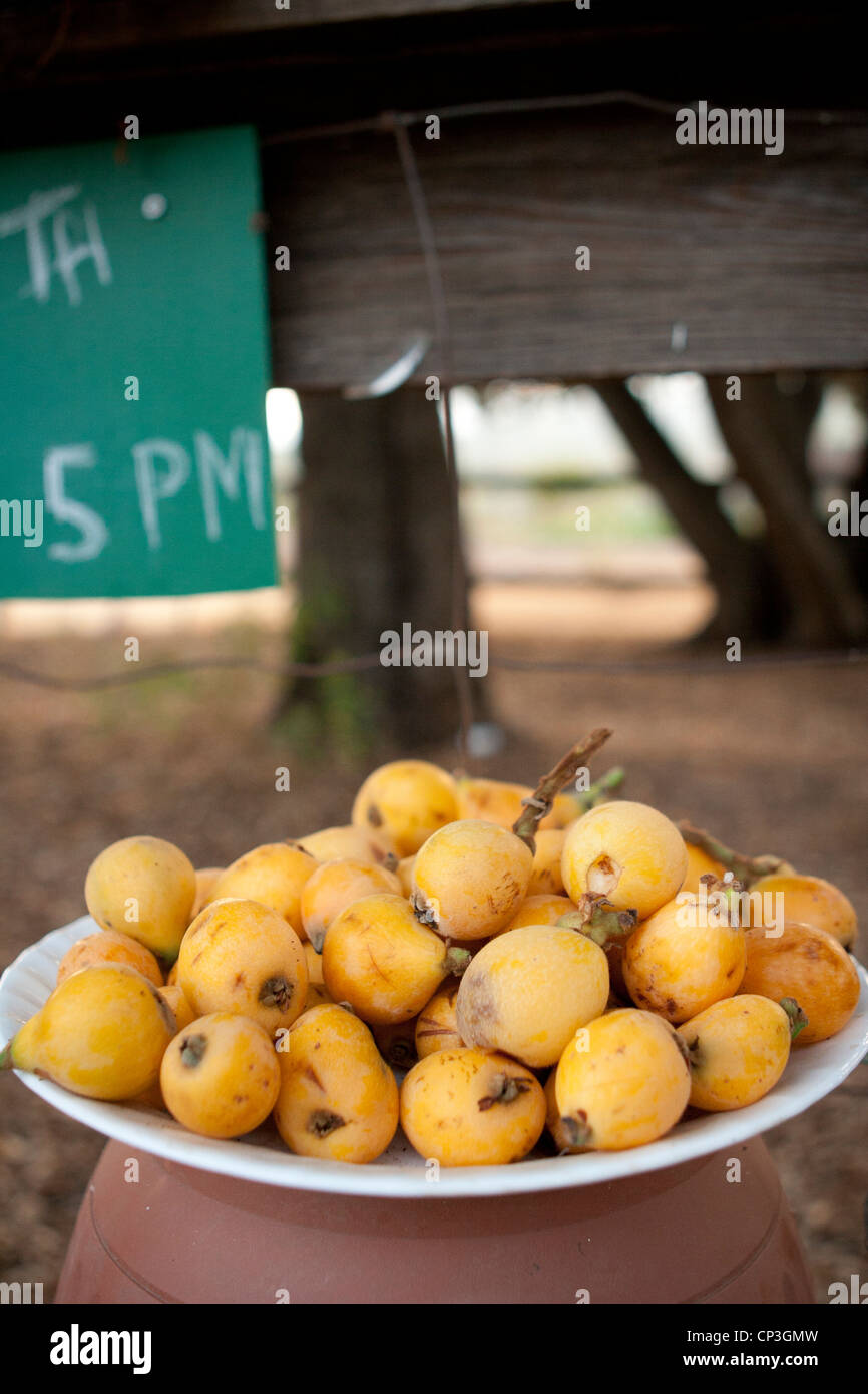Sign farm stand hi-res stock photography and images - Alamy