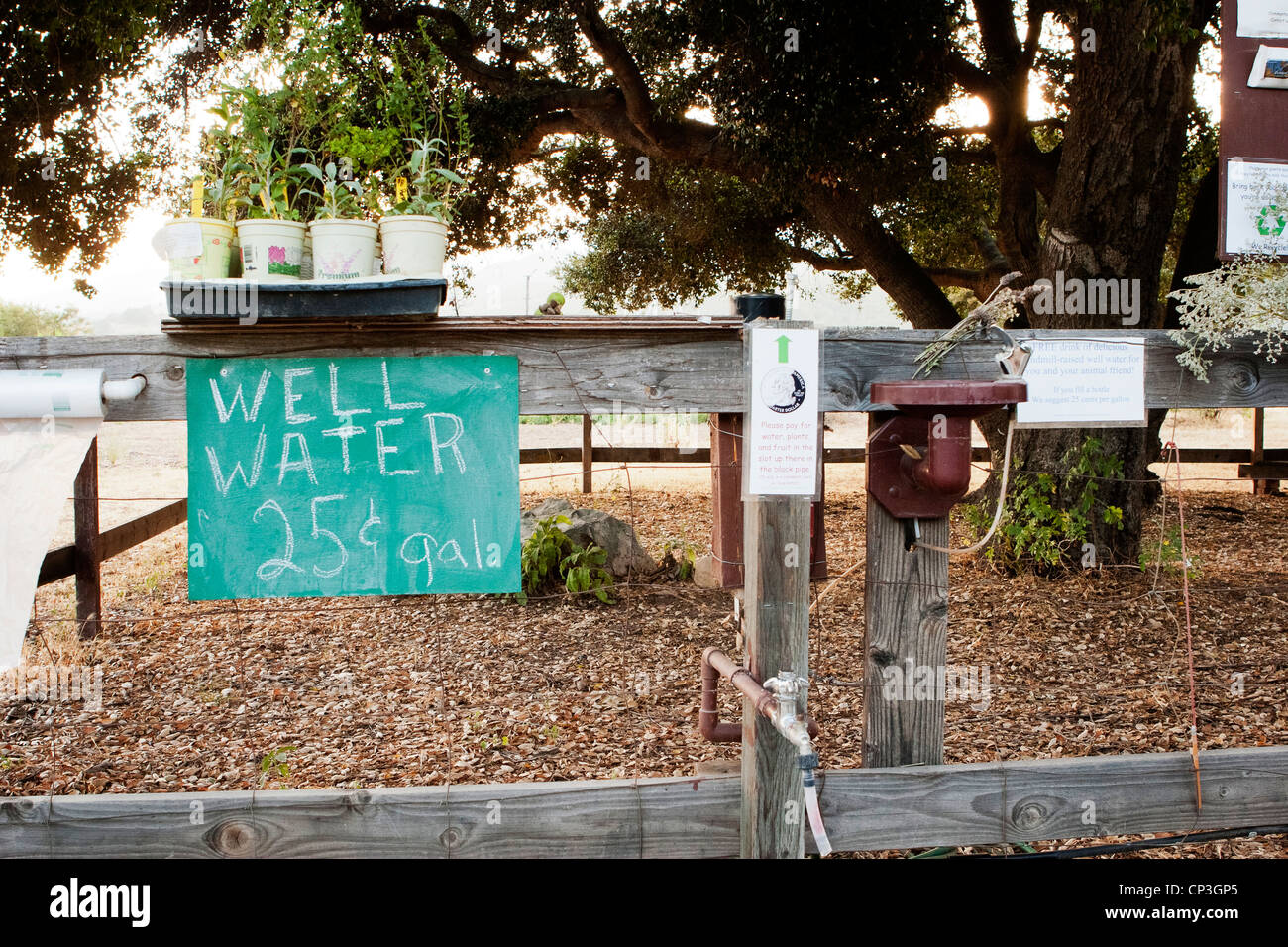 Stand for your country hi-res stock photography and images - Alamy