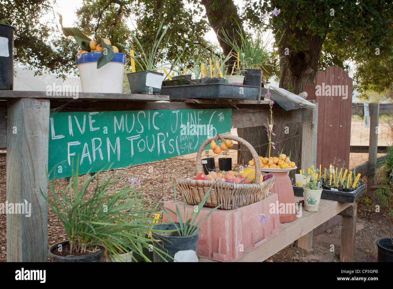 Country farm stand hi-res stock photography and images - Alamy