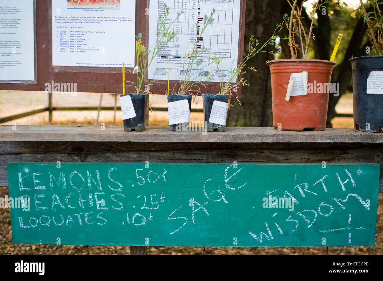 A roadside country stand Stock Photo - Alamy